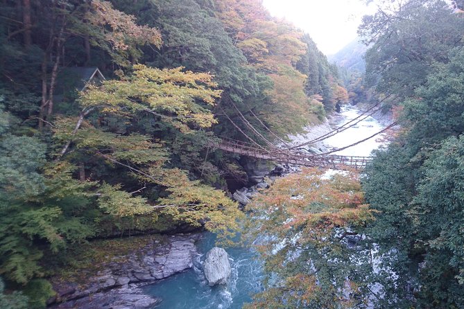 Iya Valley BROMPTON Slow Cycling Tour - Experience Highlights