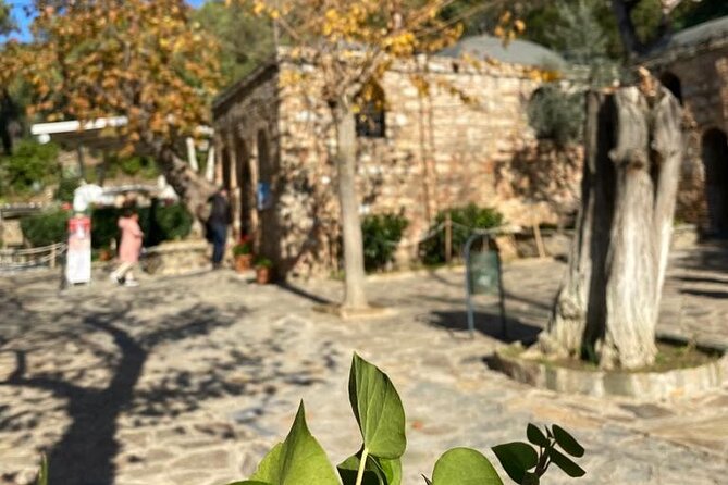 Izmir to Private Ephesus - Artemission Temple-Mother Marys House - Positive Reviews and Traveler Experiences