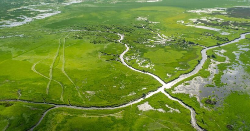 Jabiru: 30 minute Scenic flight over Kakadu National Park - Who Will Love This Tour?