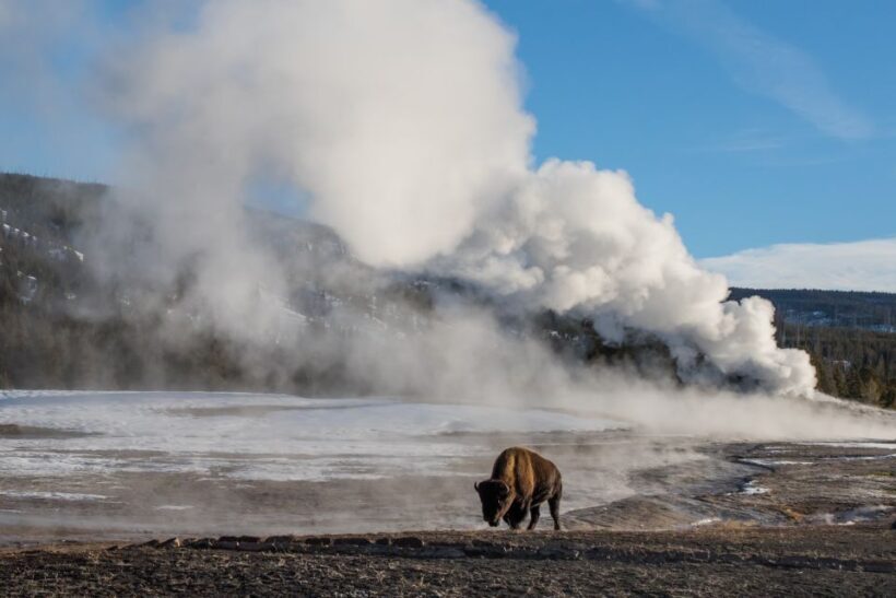 Jackson: 4-Day Grand Teton & Yellowstone Winter Tour - The Experience and Logistics