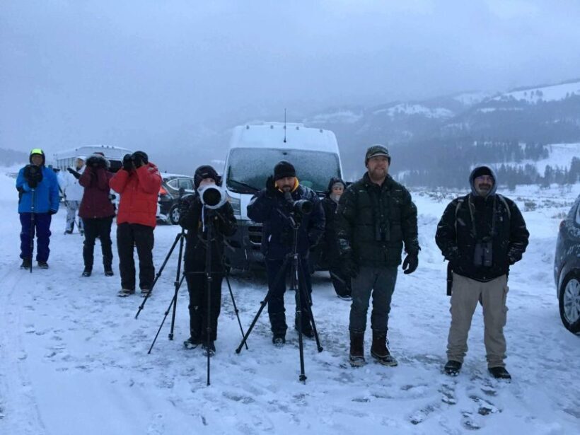 Jackson: 4-Day Grand Teton & Yellowstone Winter Tour - Value and Pricing