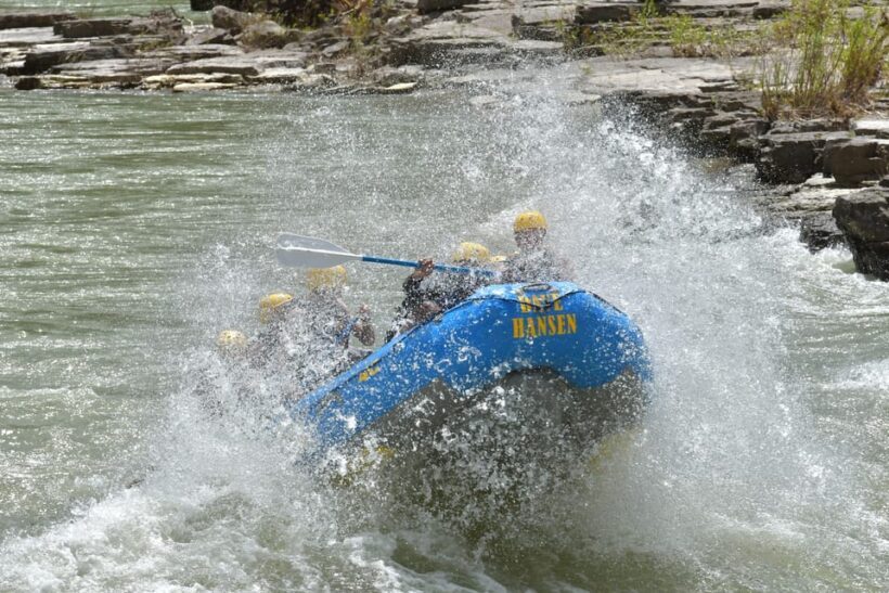 Jackson: 4-Hour Small Boat Snake River Whitewater Rafting - Who Should Consider This Tour?