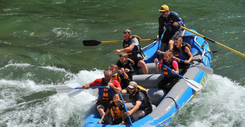 Jackson: 4-Hour Small Boat Snake River Whitewater Rafting - Key Points