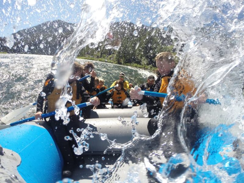 Jackson: 4-Hour Small Boat Snake River Whitewater Rafting - Price and Value