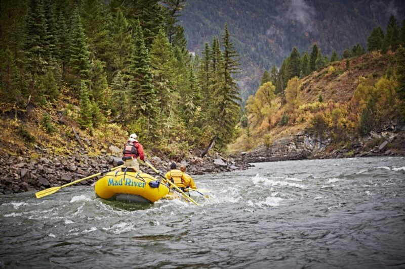 Jackson: 8-Mile Classic Boat Whitewater Rafting Trip - Why This Tour Excels