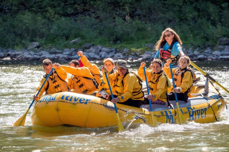 Jackson: 8-Mile Small-Boat Whitewater Rafting Trip - Who Will Love This Experience?