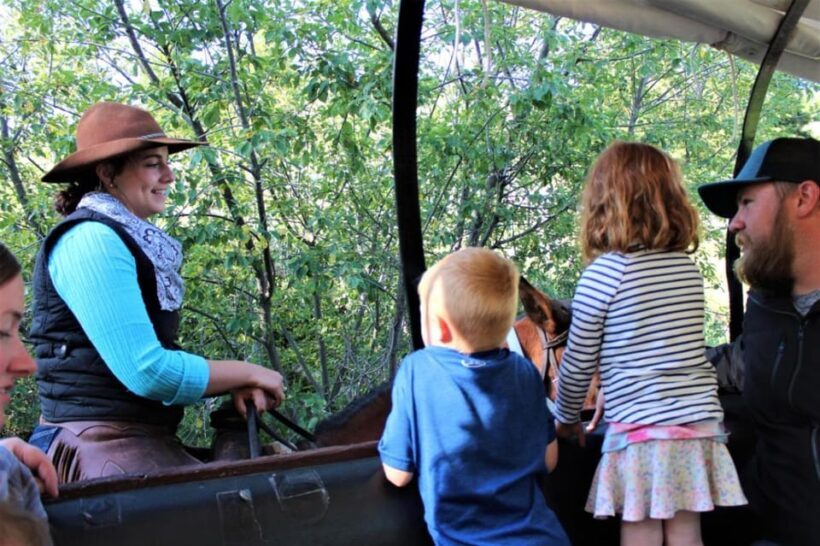 Jackson: Chuck Wagon Cookout and Live Show - The Value and Practicalities