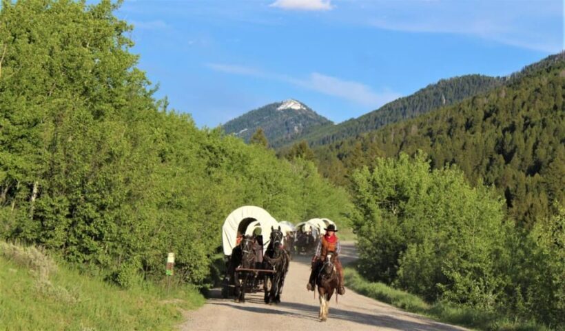 Jackson: Chuck Wagon Cookout and Live Show - Authenticity and Family Fun