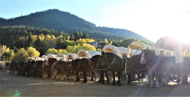 Jackson: Chuck Wagon Cookout and Live Show - Practical Tips for Travelers