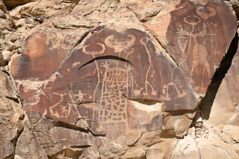 Jackson: Grand Teton, Bighorn Sheep, and Petroglyphs Tour - FAQ