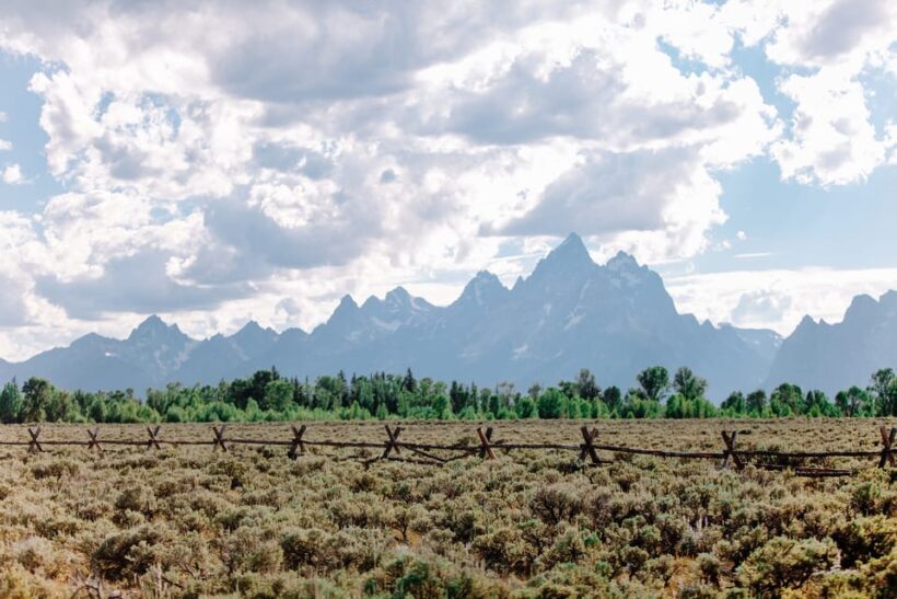 Jackson: Grand Teton Sunrise Safari with Naturalist Guide - Jackson: Grand Teton Sunrise Safari with Naturalist Guide