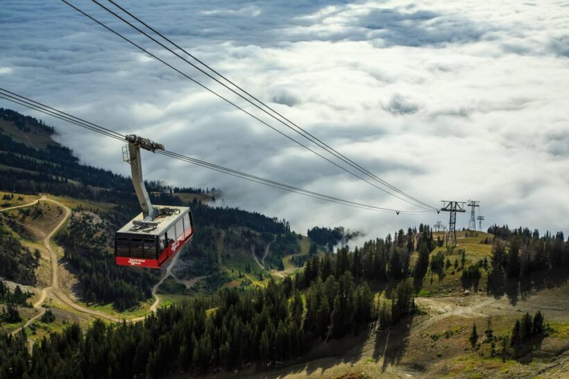 Jackson Hole: Aerial Tram and Gondolas Sightseeing - Final Thoughts: Who’s This Tour For?