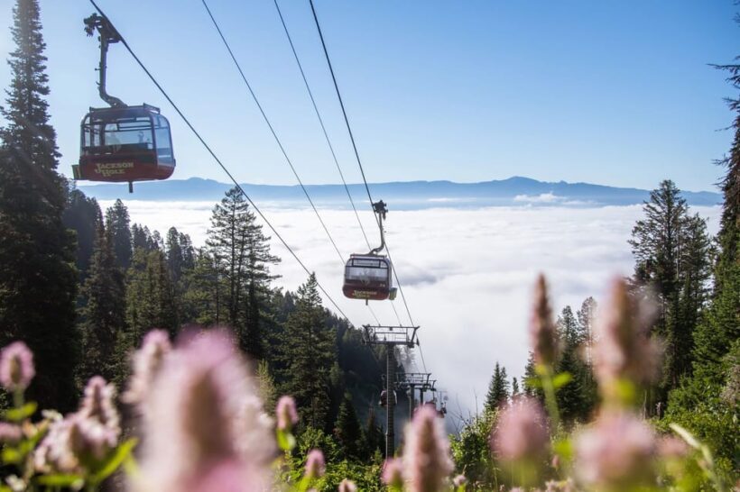 Jackson Hole: Aerial Tram and Gondolas Sightseeing - FAQ