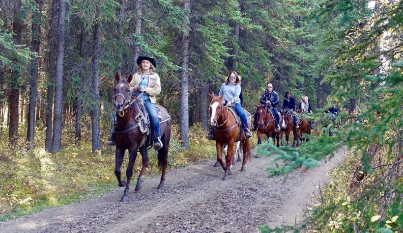 Jackson Hole: Bridger-Teton National Forest Horseback Ride - Final Thoughts