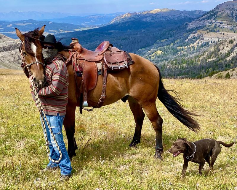 Jackson Hole: Dinner Cookout & Bridger-Teton Horseback Ride - What the Reviews Say