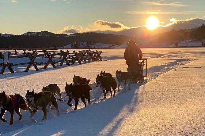 Jackson Hole Full-Day Dog Sledding and Snowmobiling Combo Trip - The Itinerary: From Mushing to High-Speed Snowmobiling