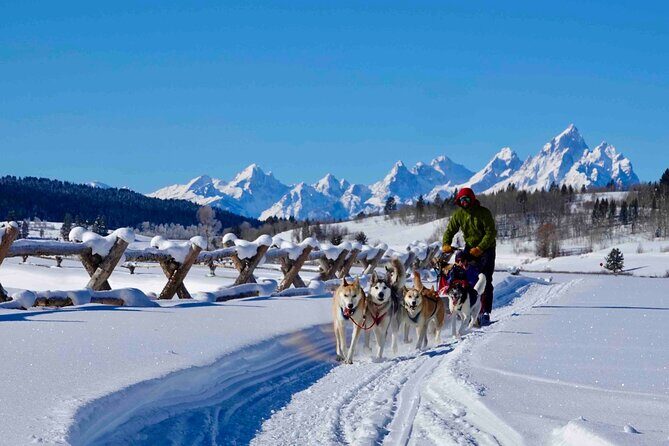 Jackson Hole Full-Day Dog Sledding and Snowmobiling Combo Trip - The Value of the Experience