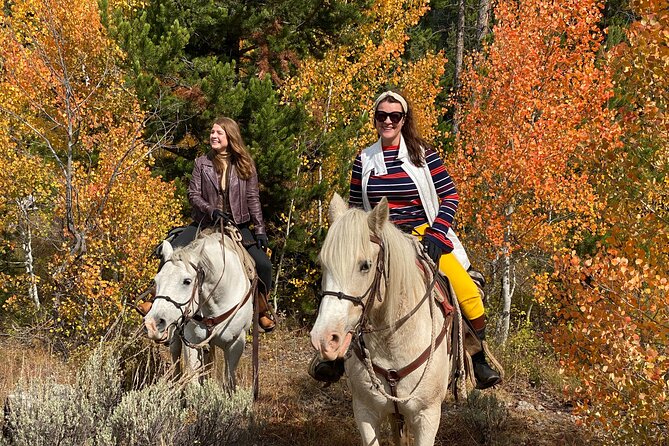 Jackson Hole Horseback Riding in Bridger Teton National Forest - Unique Riding Experience