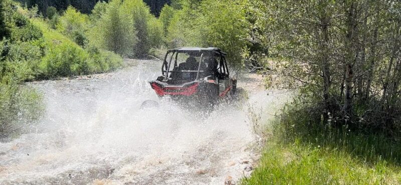 Jackson Hole: Togwotee Mountain Lodge UTV Rental - The Itinerary: What to Expect