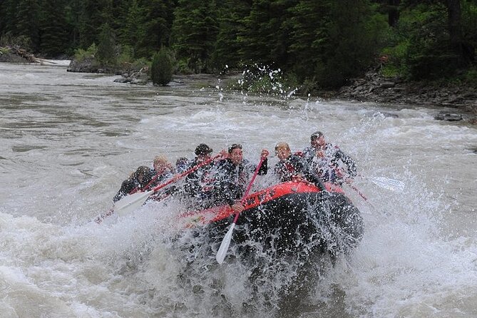 Jackson Hole Whitewater Rafting Small Boat - Key Points