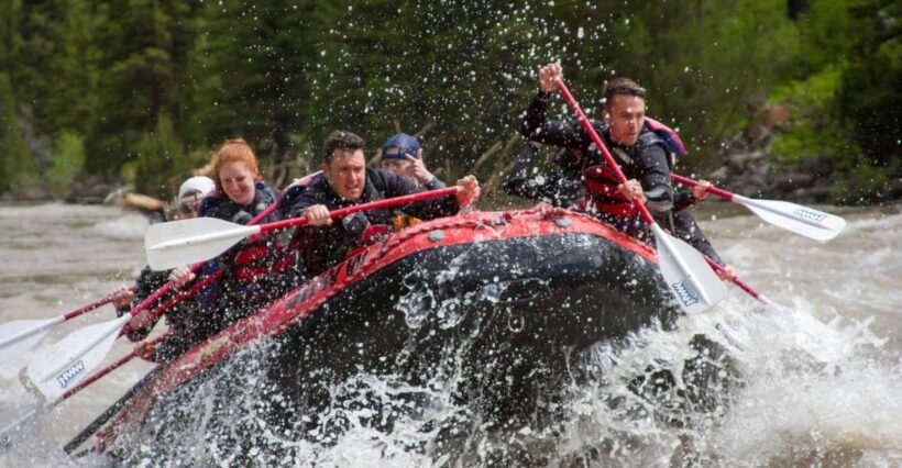 Jackson: Snake River Class 2-3 Whitewater Rafting Adventure - Who Should Consider This Tour?