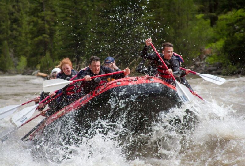 Jackson: Snake River Class 2-3 Whitewater Rafting Adventure - The Guides and Their Role in Your Experience