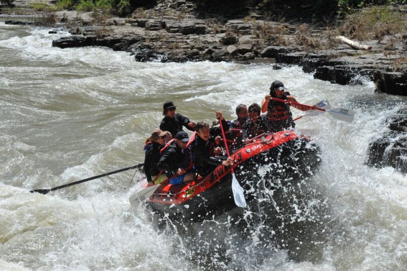 Jackson: Snake River Class 2-3 Whitewater Rafting Adventure - Practical Tips for Future Participants