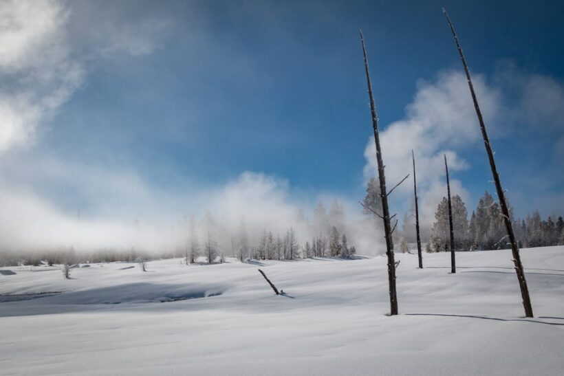 Jackson: Yellowstone Snowcoach Tour to Old Faithful - What Past Travelers Say
