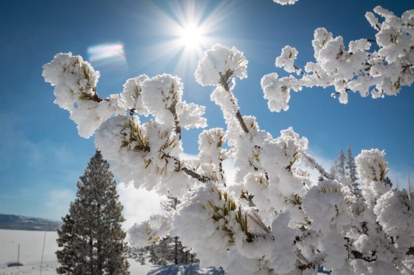 Jackson: Yellowstone Snowmobile Tour to Old Faithful - The Itinerary: A Closer Look