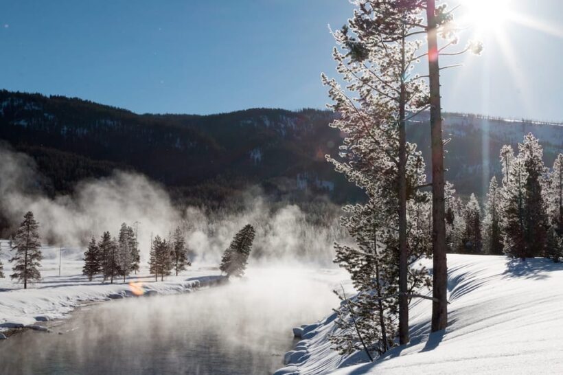Jackson: Yellowstone Snowmobile Tour to Old Faithful - Authentic Experiences from Reviews