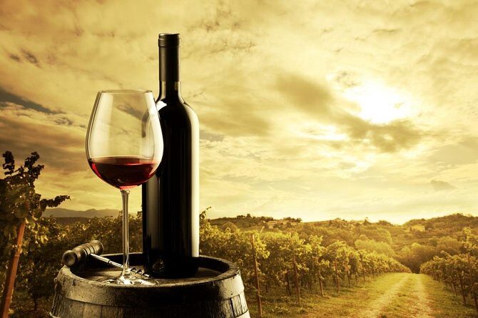 Jacob's Creek Double Barrel Signature Tasting Experience & Lunch - Who Would Love This Tour?