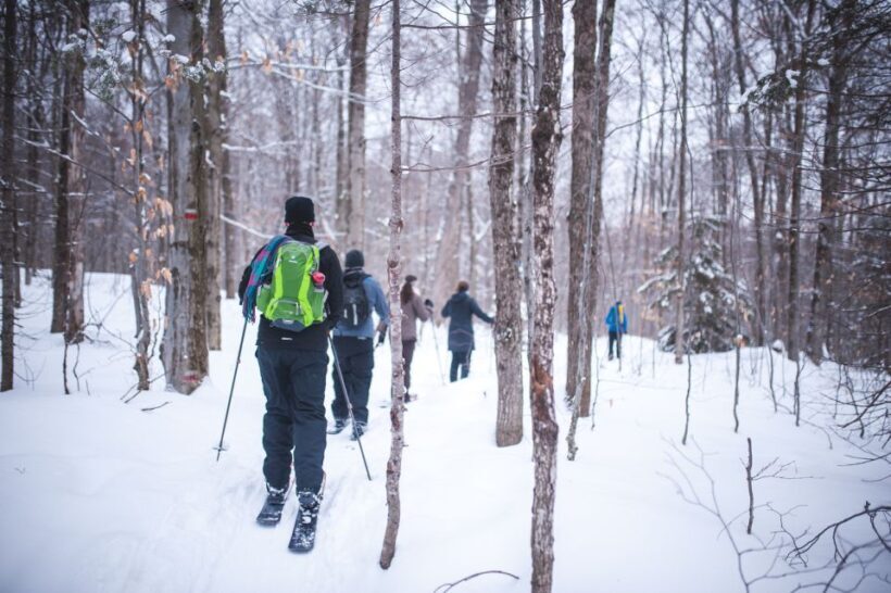 Jacques-Cartier National Park: Skiing Excursion - A Closer Look at the Experience