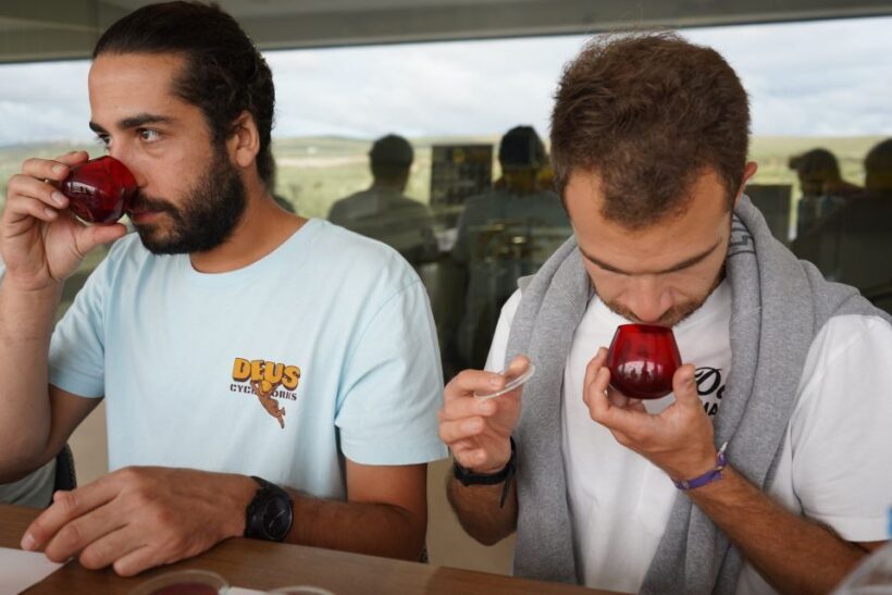 Jaén: Aires de Jaén Olive Oil Tasting Class - Why This Tour Offers Great Value