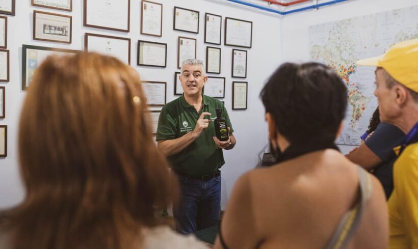 Jaén: Guided Olive Mill Tour with Olive Oil Tasting - Introduction