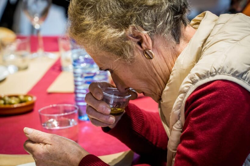 Jaén: Guided Olive Mill Tour with Olive Oil Tasting - The Experience’s Highlights and Real-World Value