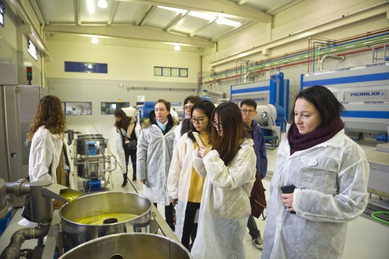 Jaén: Olive Mill Tour and Olive Oil Tasting Experience - What to Expect from Your Olive Oil Tour in Jaén