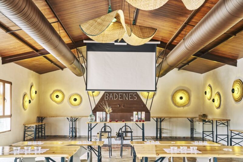 Jaen: Olive oil tour with the 5 senses, grove and tasing - The Sum Up