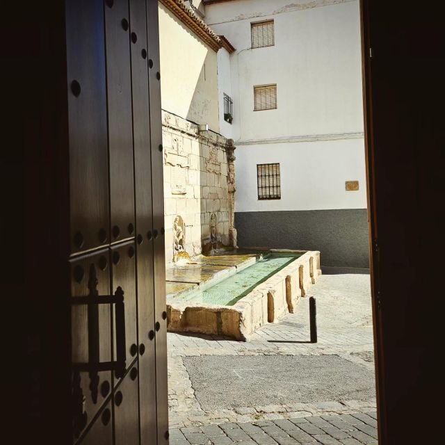 Jaén: Tour, Cathedral, Arch San Lorenzo and Jewish Quarter - A Deep Dive into the Jaén Experience