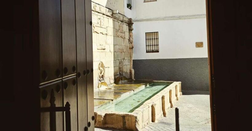Jaén: Tour, Cathedral, Arch San Lorenzo and Jewish Quarter - Final Thoughts