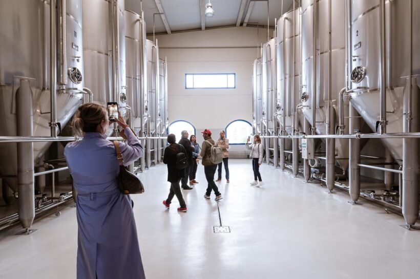 Jaén: Unforgettable visit to the olive mill + EVOO tasting - Uncovering the Flavors of Andalusia: A Complete Review of the Jaén Olive Mill & EVOO Tasting Tour