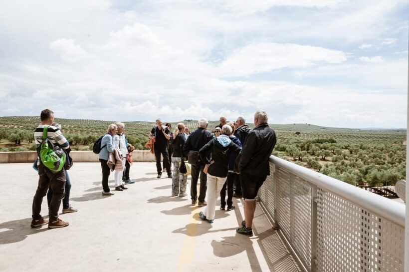 Jaén: Unforgettable visit to the olive mill + EVOO tasting - An Authentic Look at Andalusia’s Olive Oil Industry