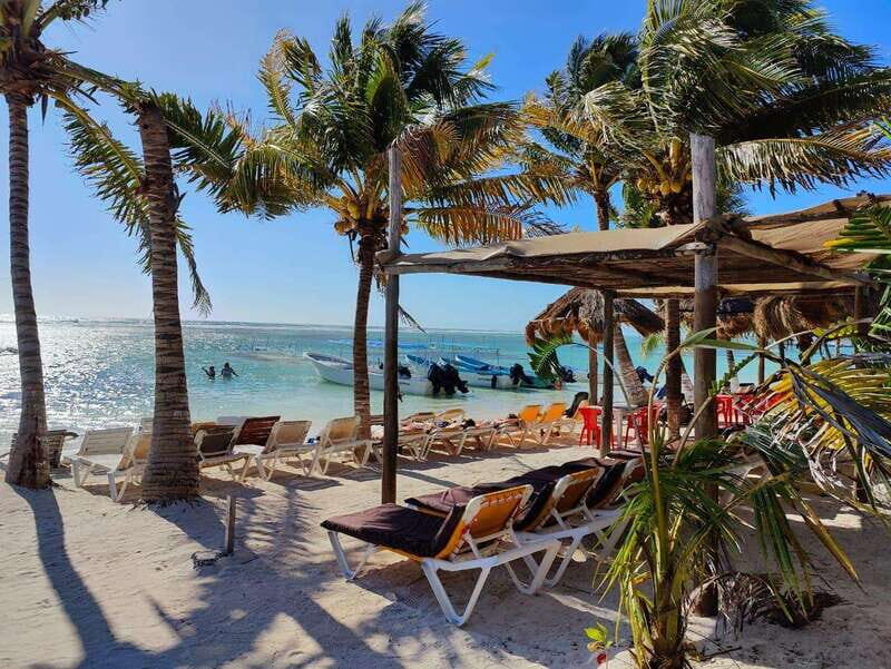 Jaimes at the blue Reef all you can eat + drinks - The Snorkeling and Relaxation Experience