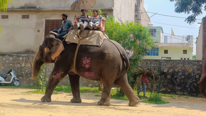 Jaipur 2 Day Private Tour With Guide - Authenticity and Local Flavors