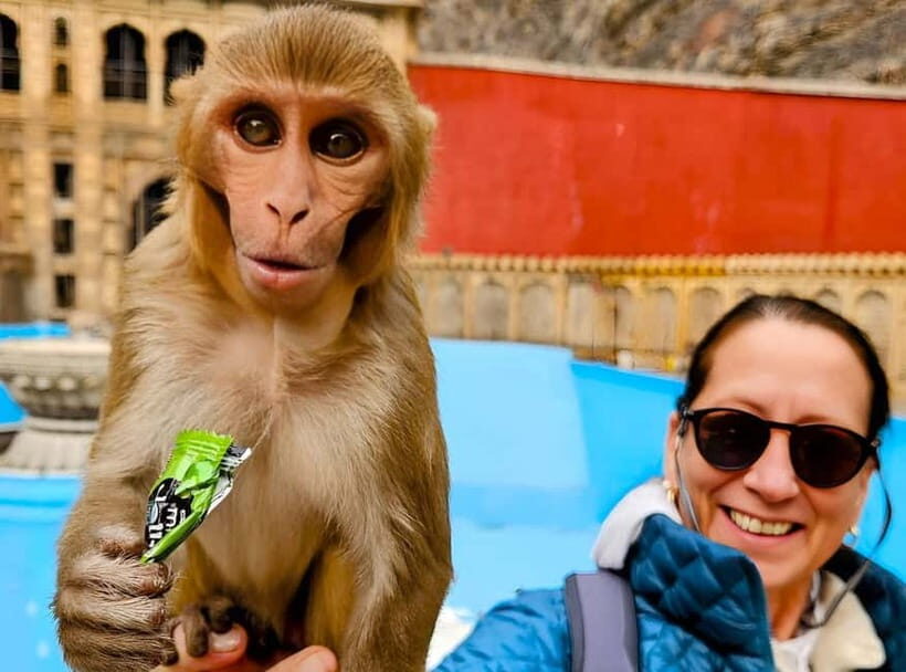 Jaipur: Amber Fort Guided Tour with Skip-the-Line Tickets - The Experience of a Guided Tour