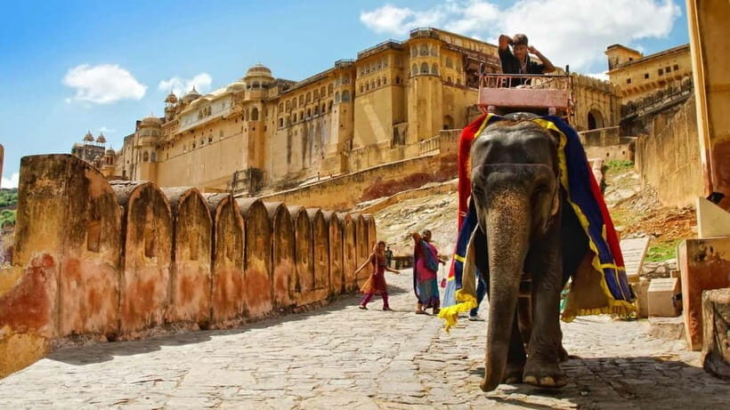 Jaipur: Amber Fort, Stepwell & Jal Mahal with Pickup - Key Points