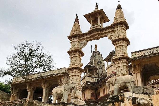 Jaipur by locals - What Travelers Are Saying: Authentic Experiences and Caveats