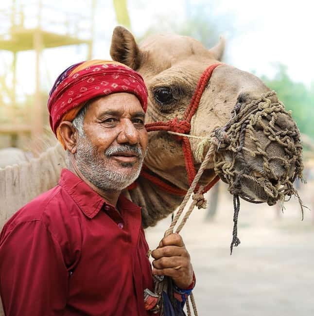 Jaipur Chokhi Dhani Village Dinner with Transfers with guide - The Sum Up