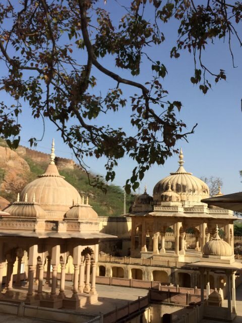 Jaipur : Cultural & History Tour With Private Guide - The Sum Up