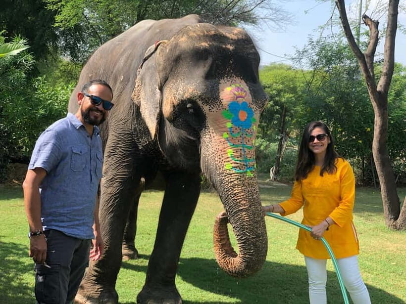 Jaipur: Elephant Interaction Tour - Jaipur: Elephant Interaction Tour