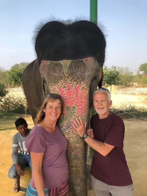 Jaipur: Elephant Interaction Tour - Setting the Scene: A Respectful Encounter with Majestic Creatures